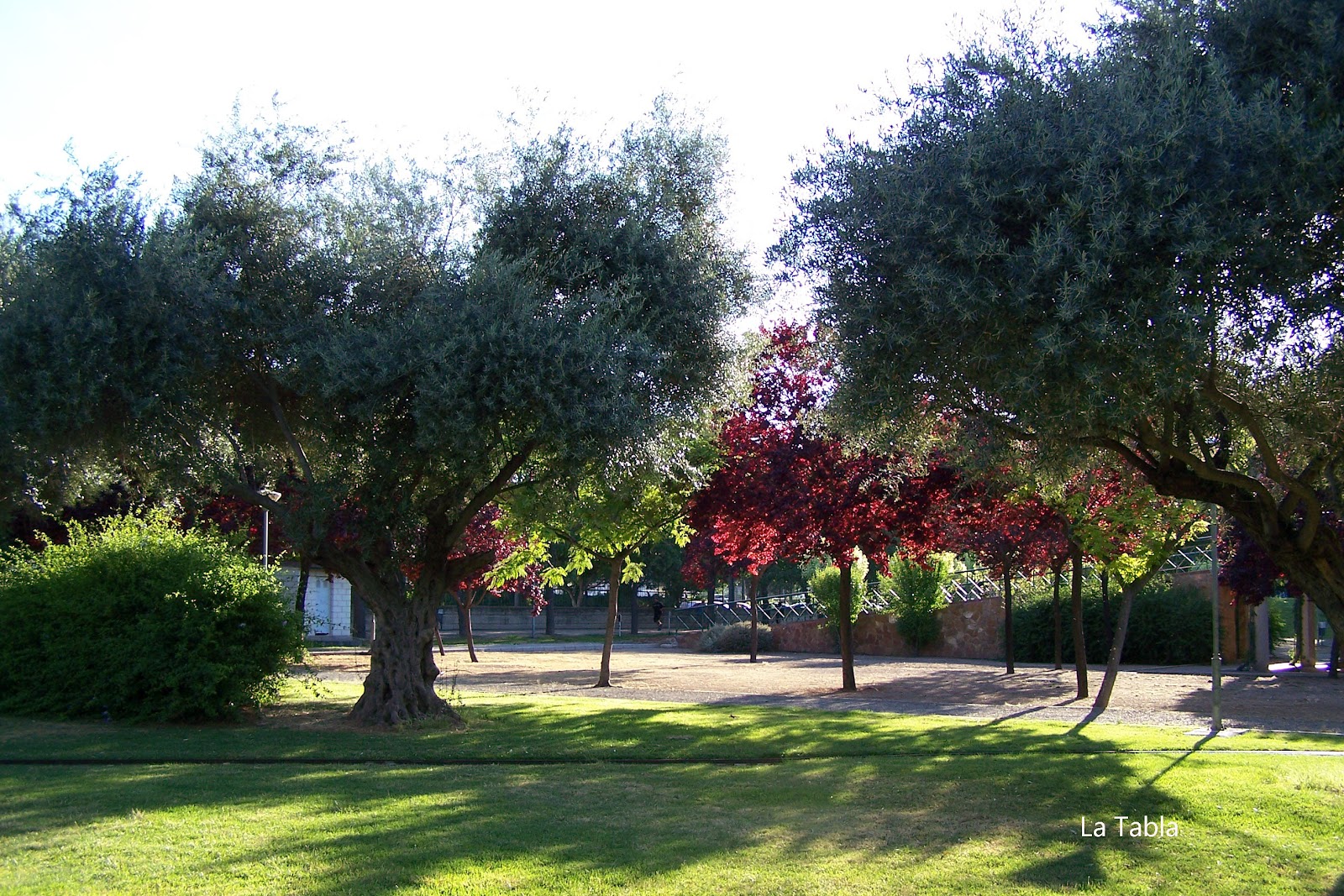 Parques y Jardines – Ajuntament de Burjassot