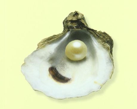 John Steinbeck i ‘La perla’, protagonistes d’una nova sessió del Club ...